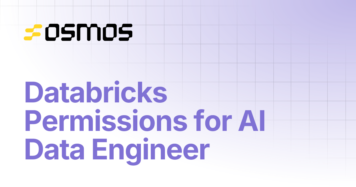 Databricks Permissions for AI Data Engineer | Osmos Agentic AI